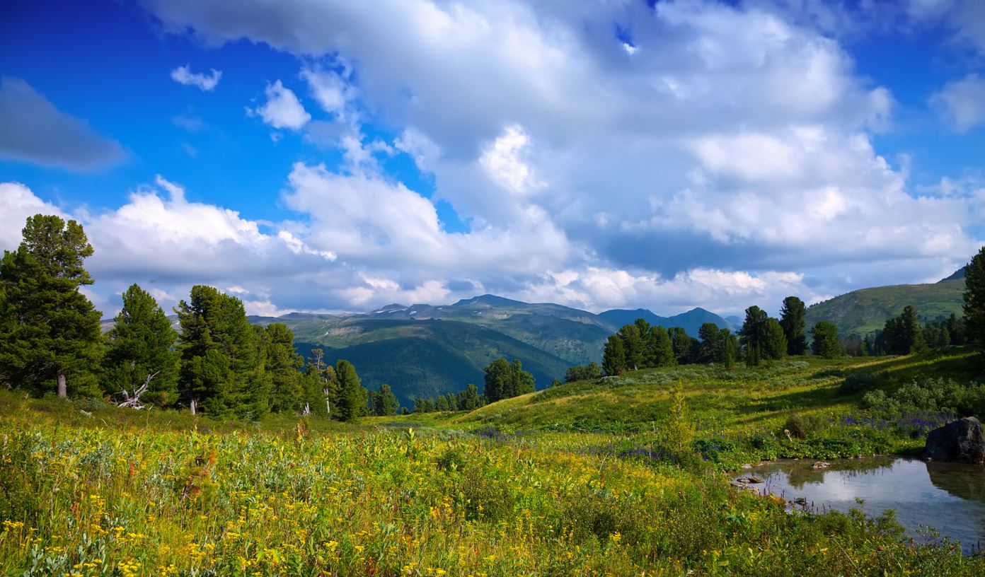 SRG-ECO оценивает экологические риски